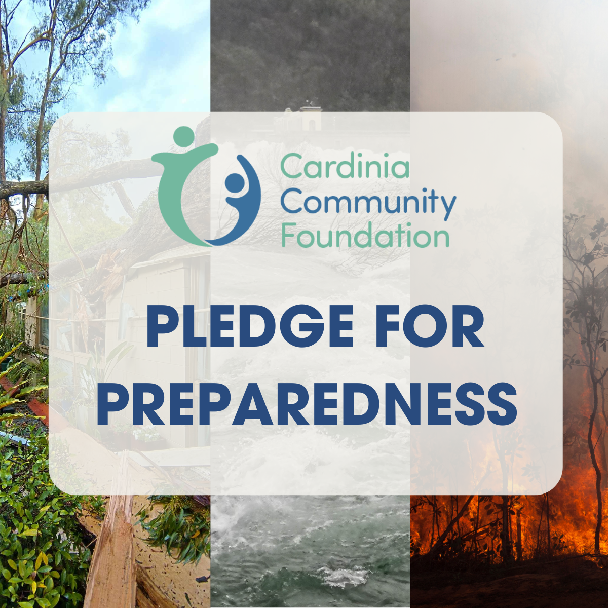 Cardinia Community Foundation | Help us make a difference